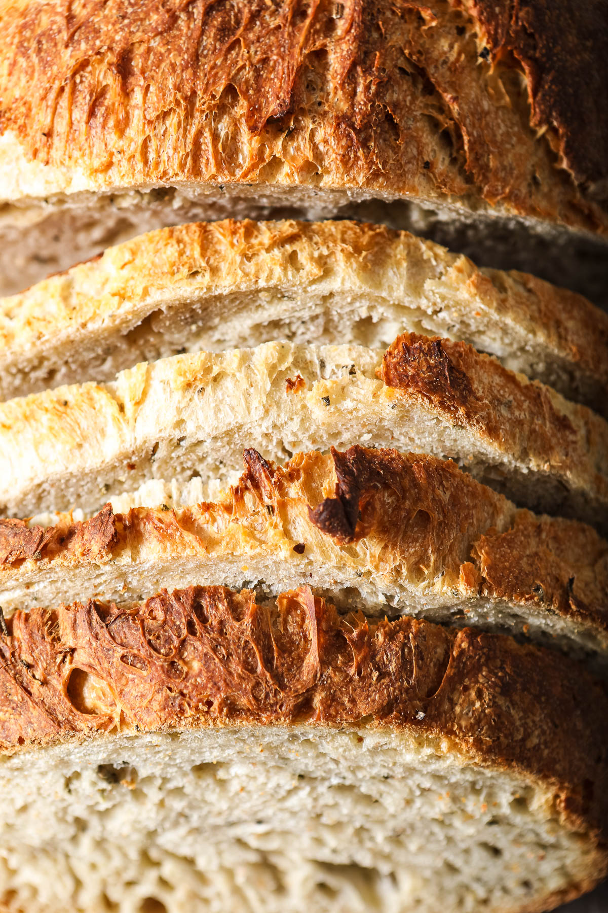 Rosemary Sourdough Bread with Toasted Wheat Germ