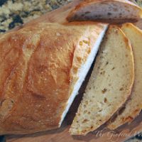 San Francisco Sourdough Bread Recipe - The Gingered Whisk