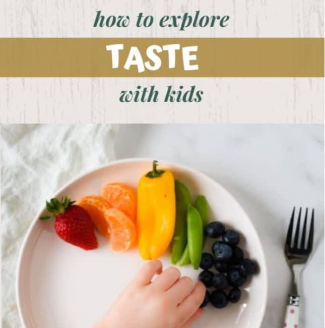How to Explore the Sense of Taste with Kids - The Gingered Whisk