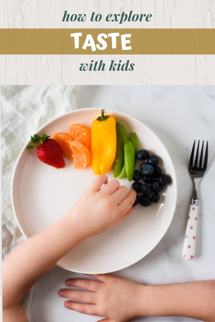 How to Explore the Sense of Taste with Kids - The Gingered Whisk