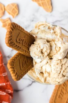 Easy No Churn Gingerbread Ice Cream - The Gingered Whisk