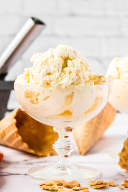 Orange Creamsicle Ice Cream - The Gingered Whisk