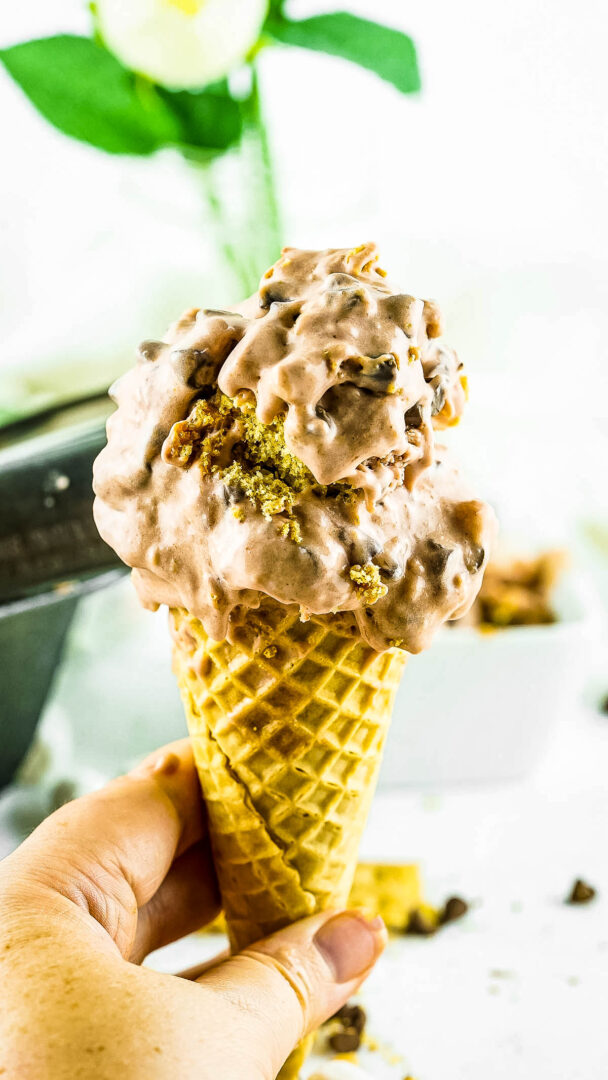 No Churn S'mores Ice Cream - The Gingered Whisk