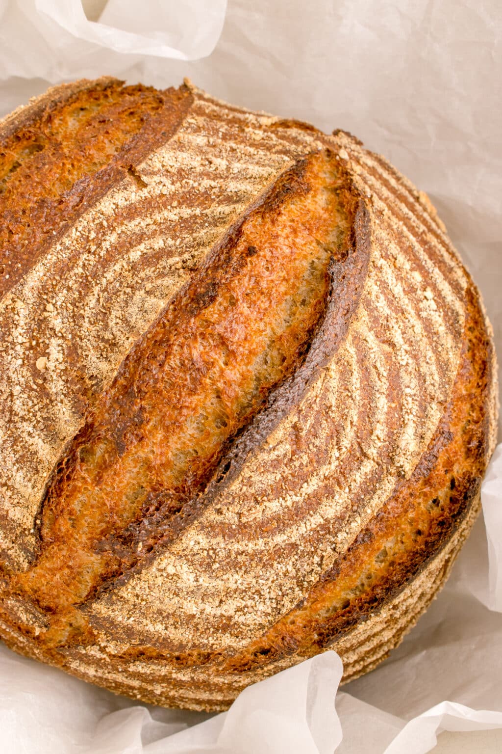 German Rye Sourdough Bread - The Gingered Whisk