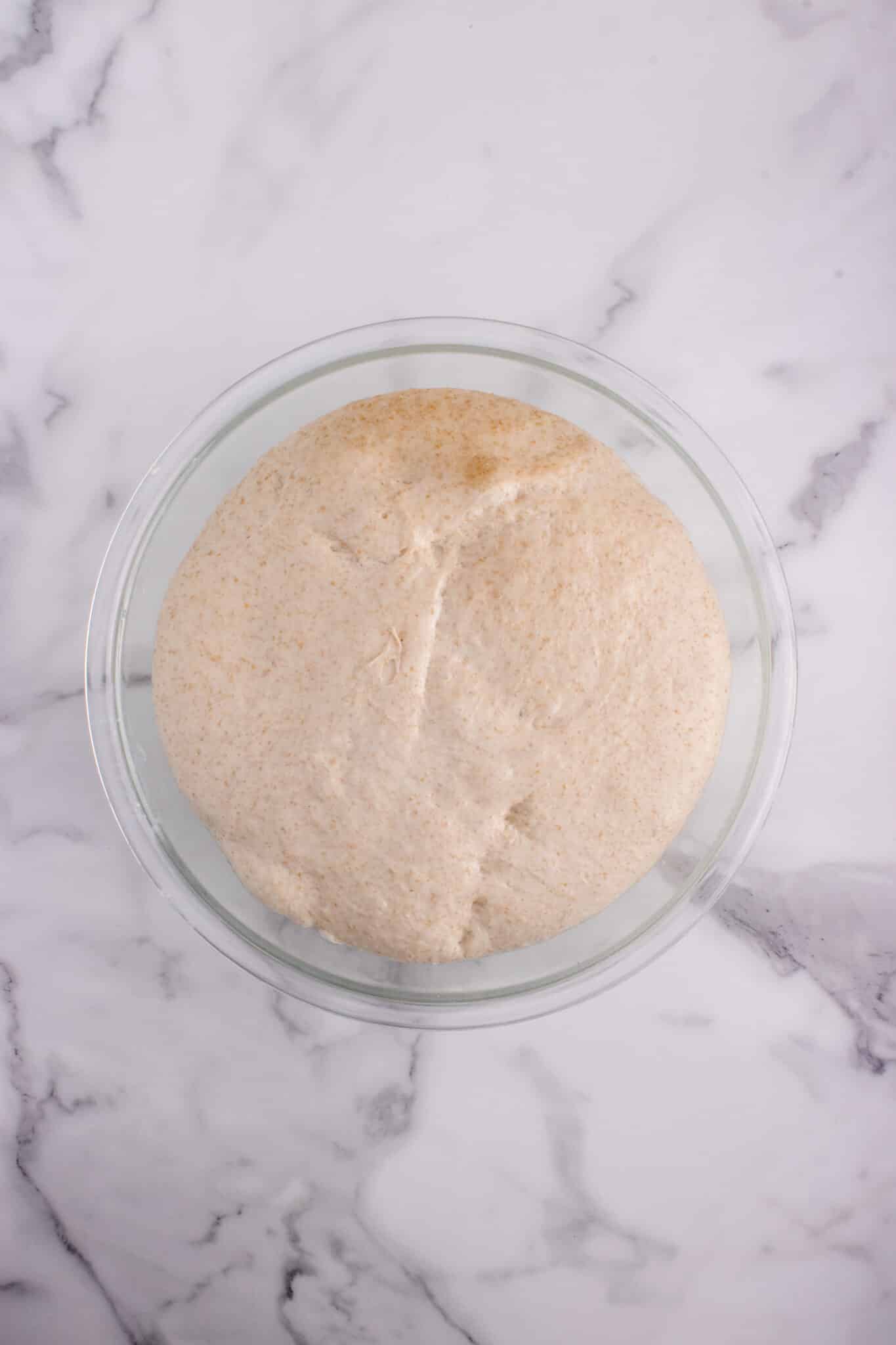 Sourdough French Bread The Gingered Whisk