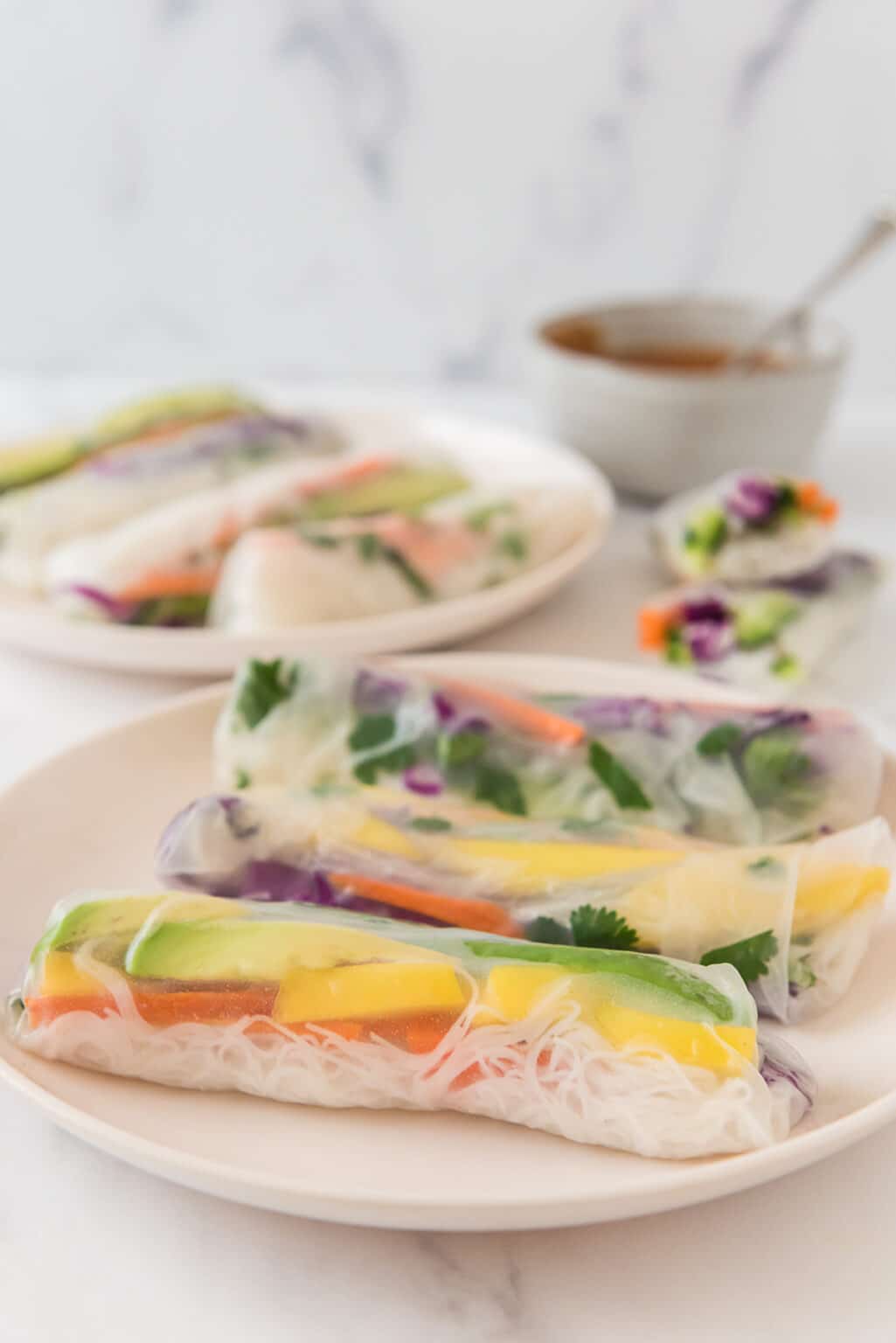 Fresh Spring Rolls with Peanut Dipping Sauce - The Gingered Whisk